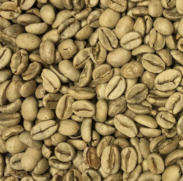 Monsoon Malabar AA, Green Bean – Chris' Coffee